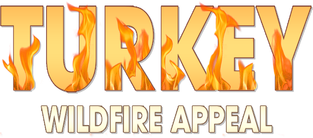 Watan UK – Reviving Communities